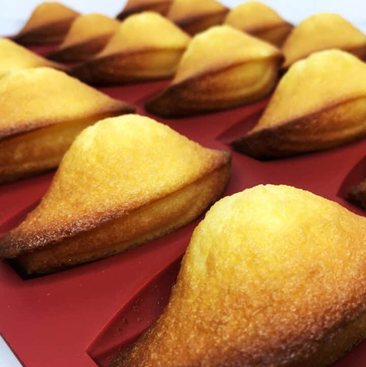 History Of Madeleines – Baking Like a Chef