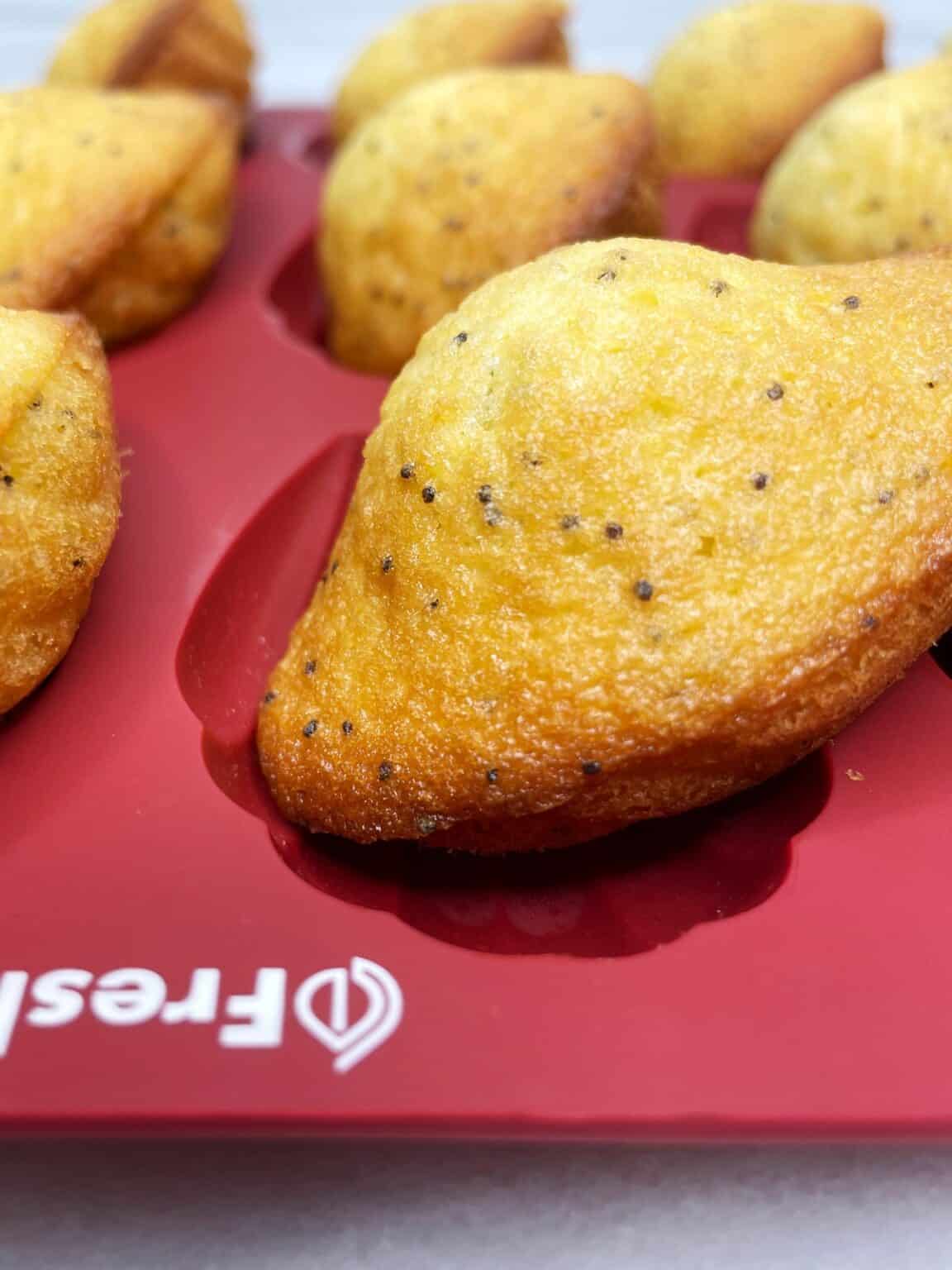 Madeleine Flavors – Baking Like a Chef