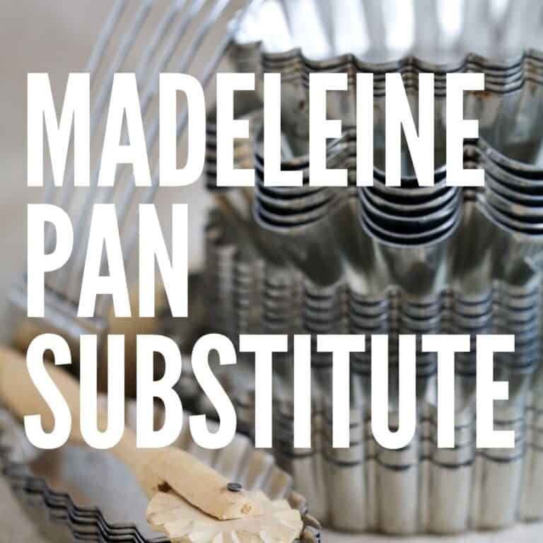 Madeleine Pan Substitute – Baking Like a Chef