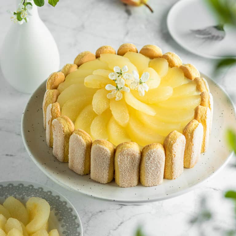 Chocolate Charlotte Cake (Charlotte au Chocolat) – Baking Like a Chef