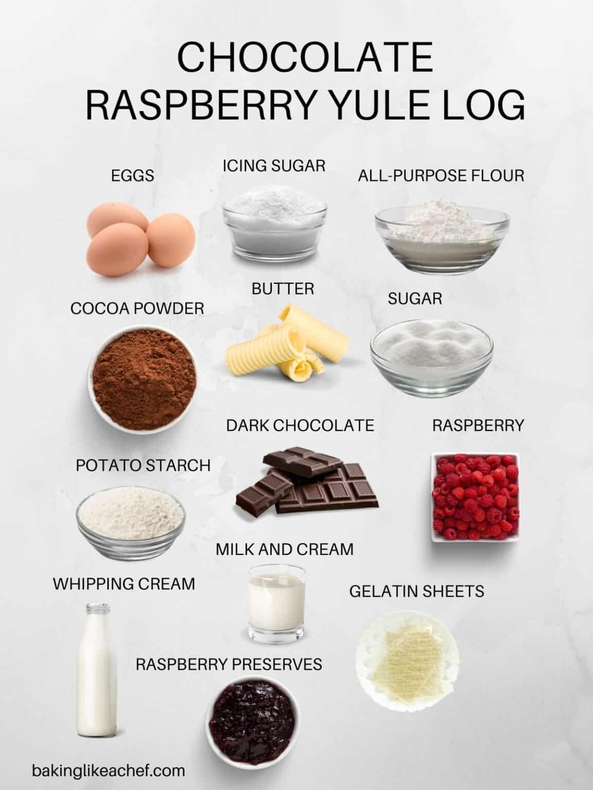 Chocolate Raspberry Yule Log – Baking Like a Chef