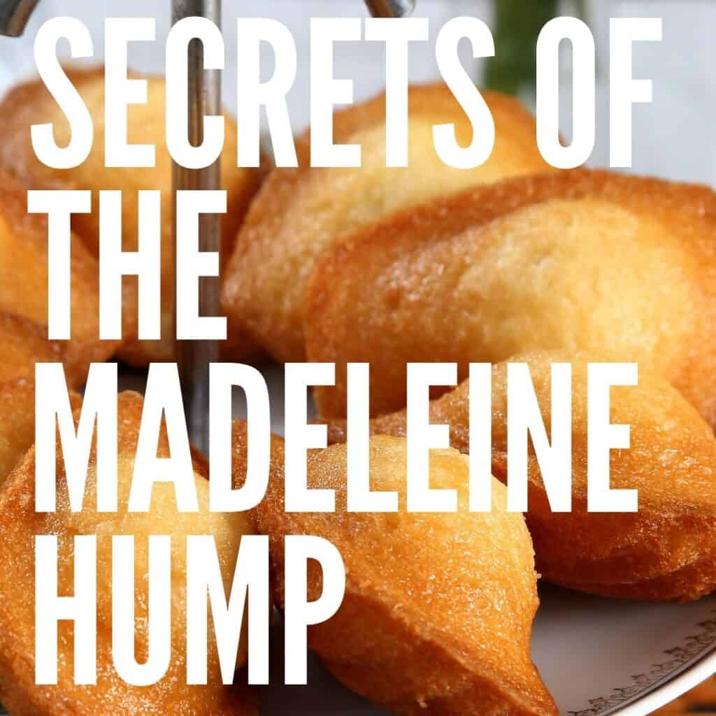 The Best Madeleine Pans To Choose From – Baking Like a Chef
