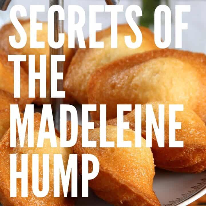 Secrets Of The Madeleine Hump – Baking Like a Chef