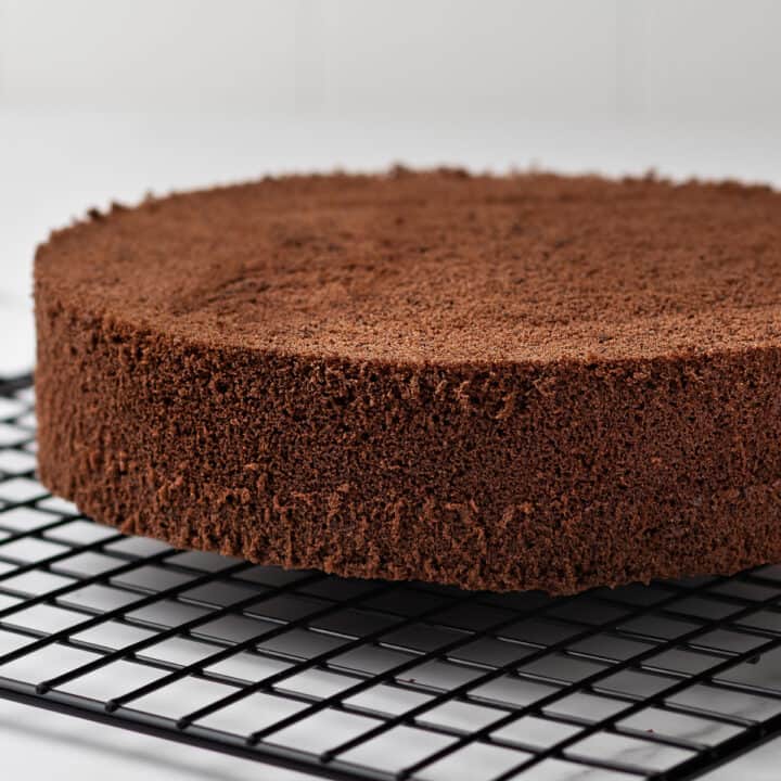 Soft And Light Chocolate Sponge Cake – Baking Like a Chef