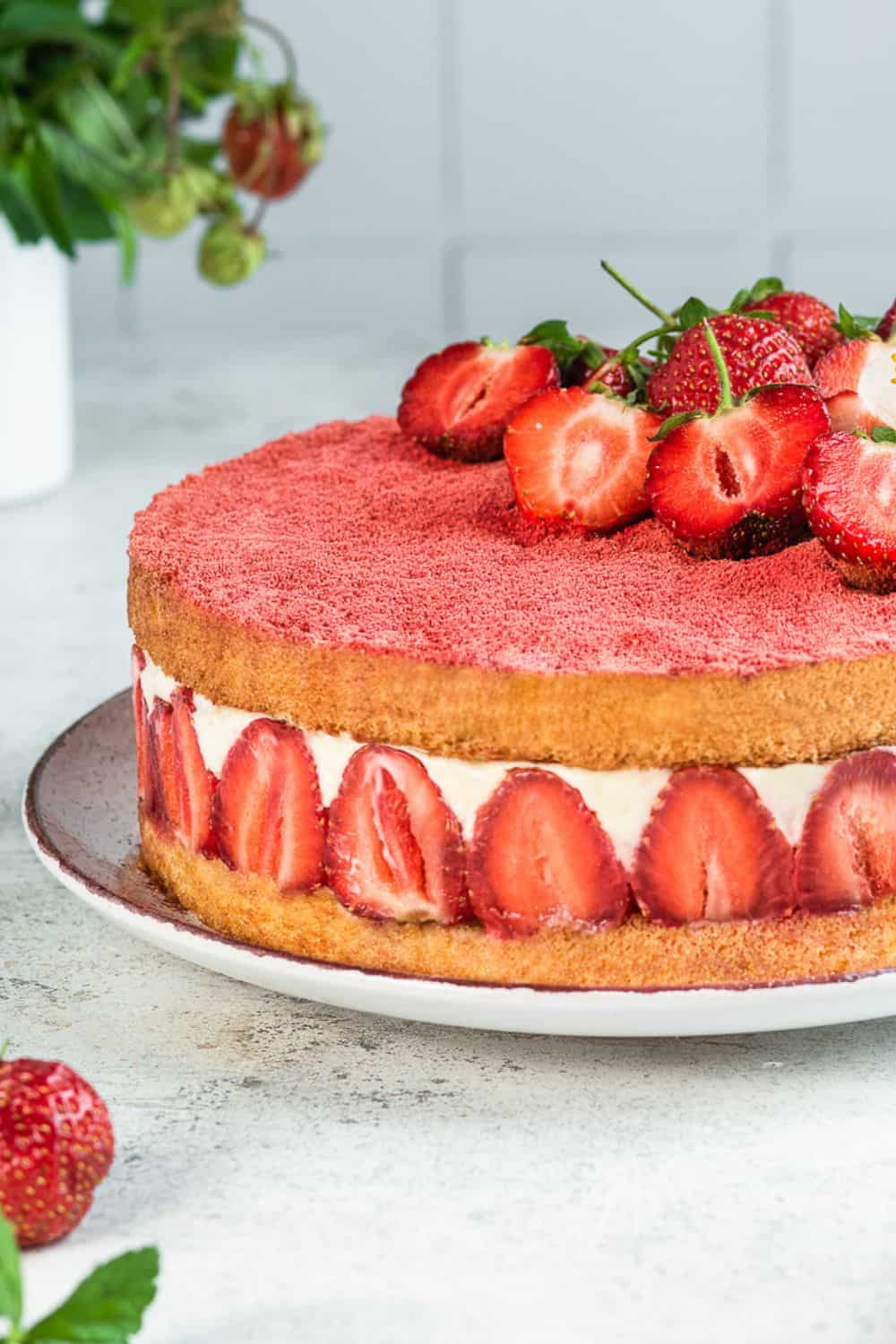 Fraisier Cake (French Strawberry cake) – Baking Like a Chef