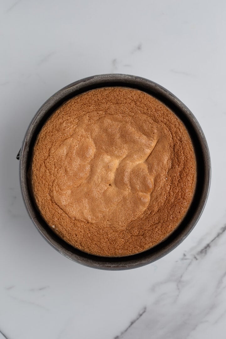 Italian Sponge Cake (Pan di Spagna) – Baking Like a Chef