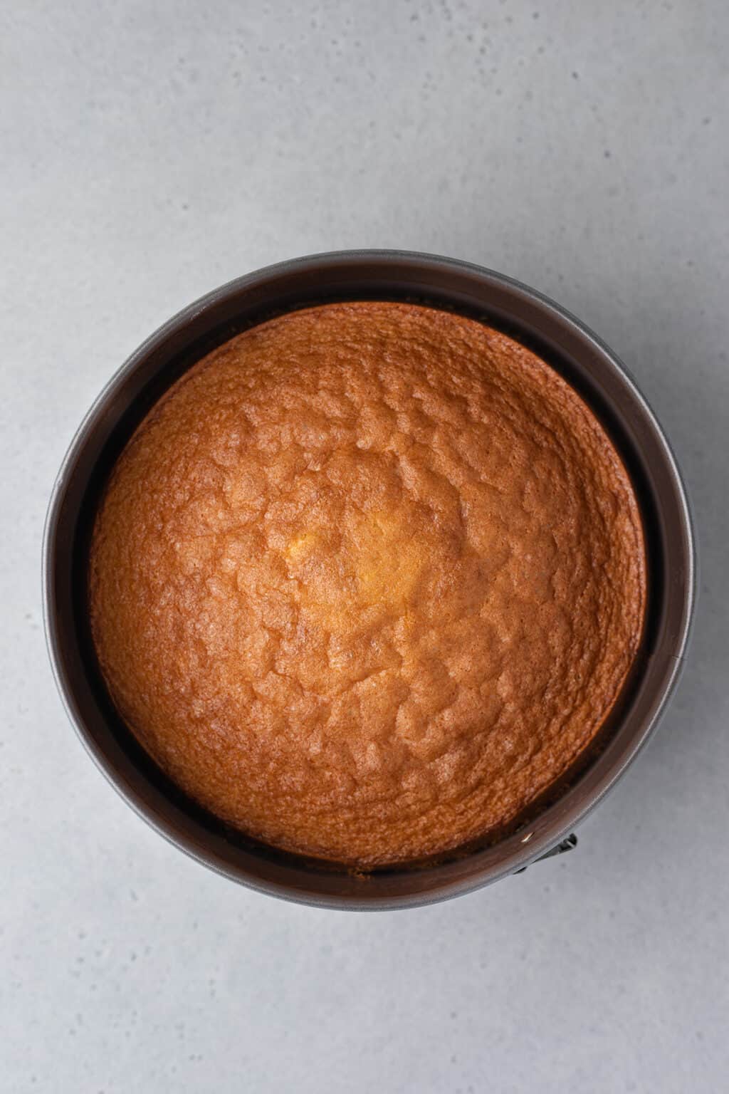 5-Ingredient Oil Sponge Cake (With Olive Oil) – Baking Like a Chef